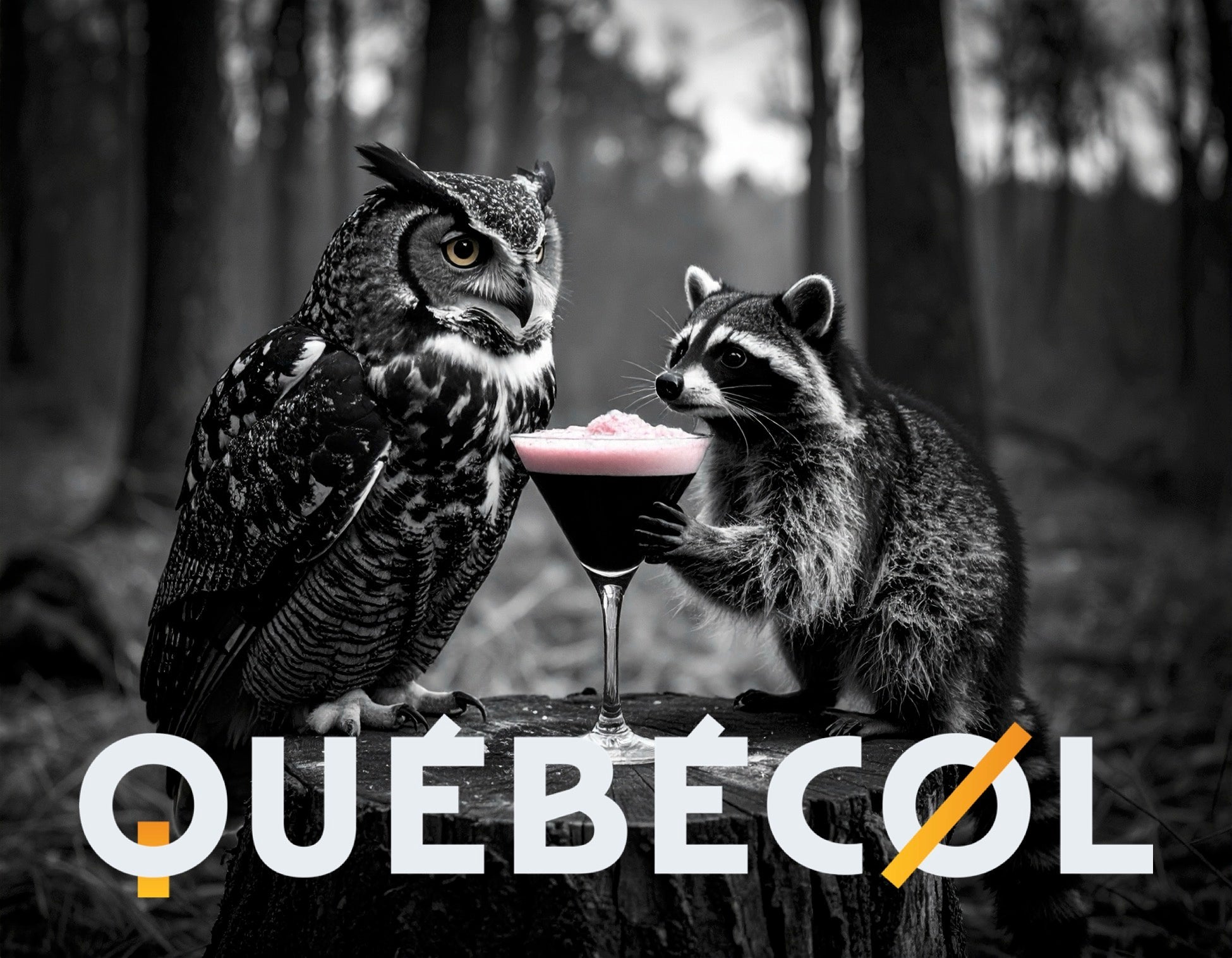 Espressø Martini Fraise Chocolat – Québécol